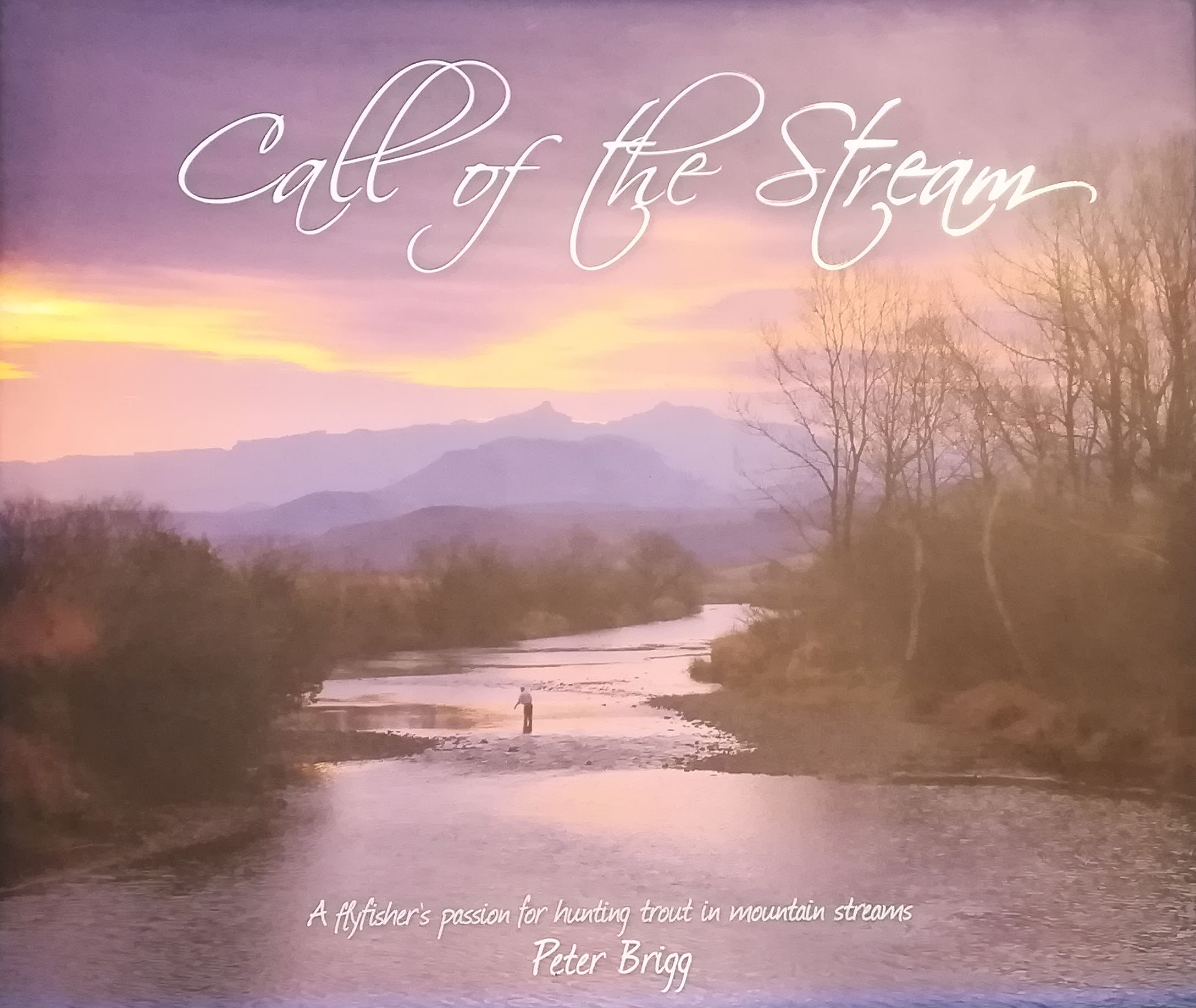 References – Sheena Carnie